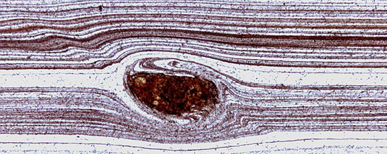 Masterclass Microtectonics | Institute of Geosciences